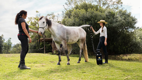 Portable Shower for Horses & Ponies – Easy Grooming On the Go | Beach ...